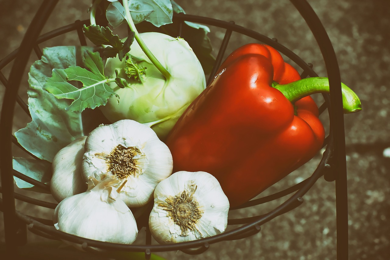 Aménagez votre maison avec un jardin potager : trouver le bon...